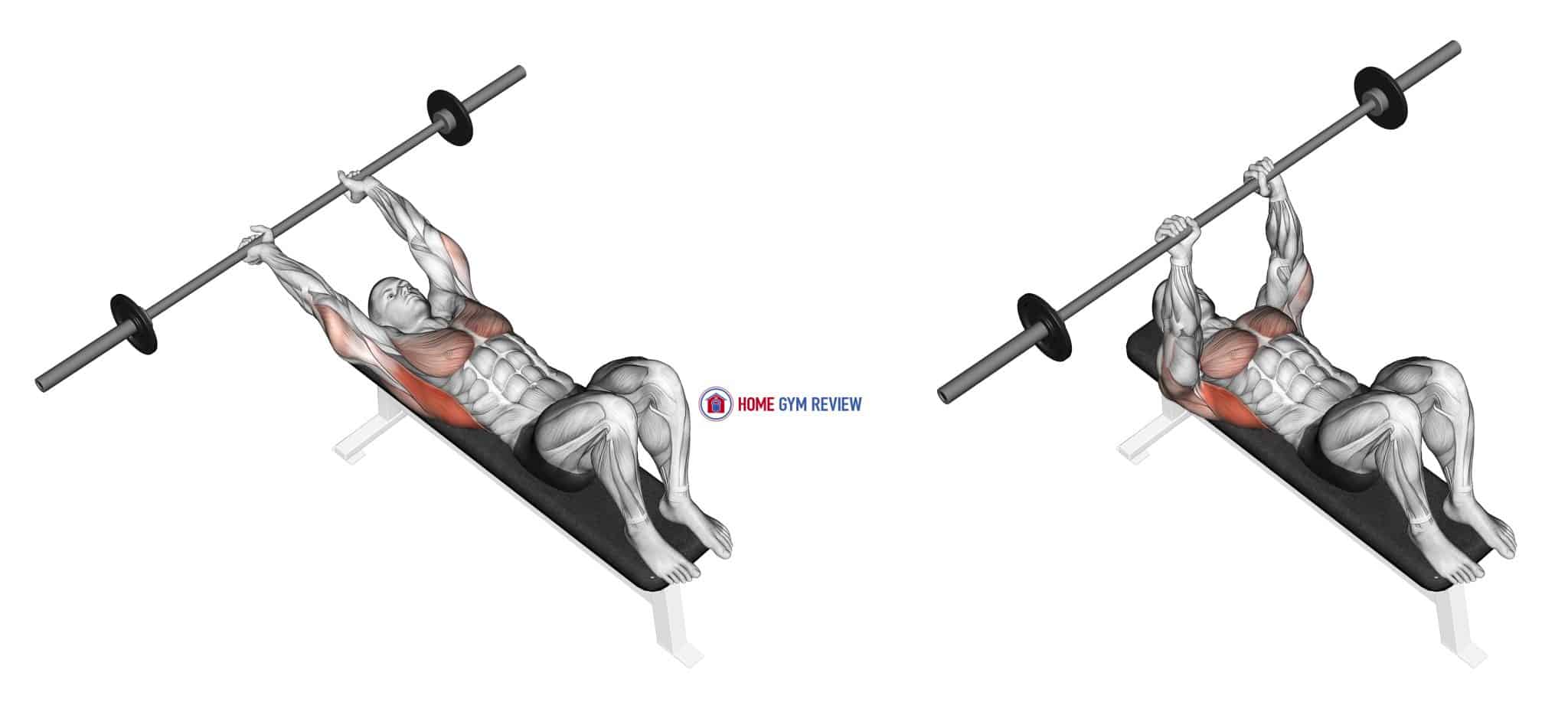 Barbell Pullover - Home Gym Review