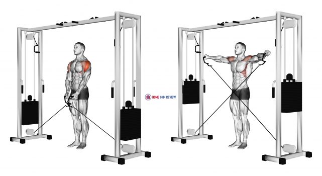 Cable Lateral Raise - Home Gym Review