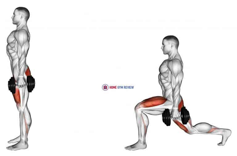Dumbbell Rear Lunge - Home Gym Review