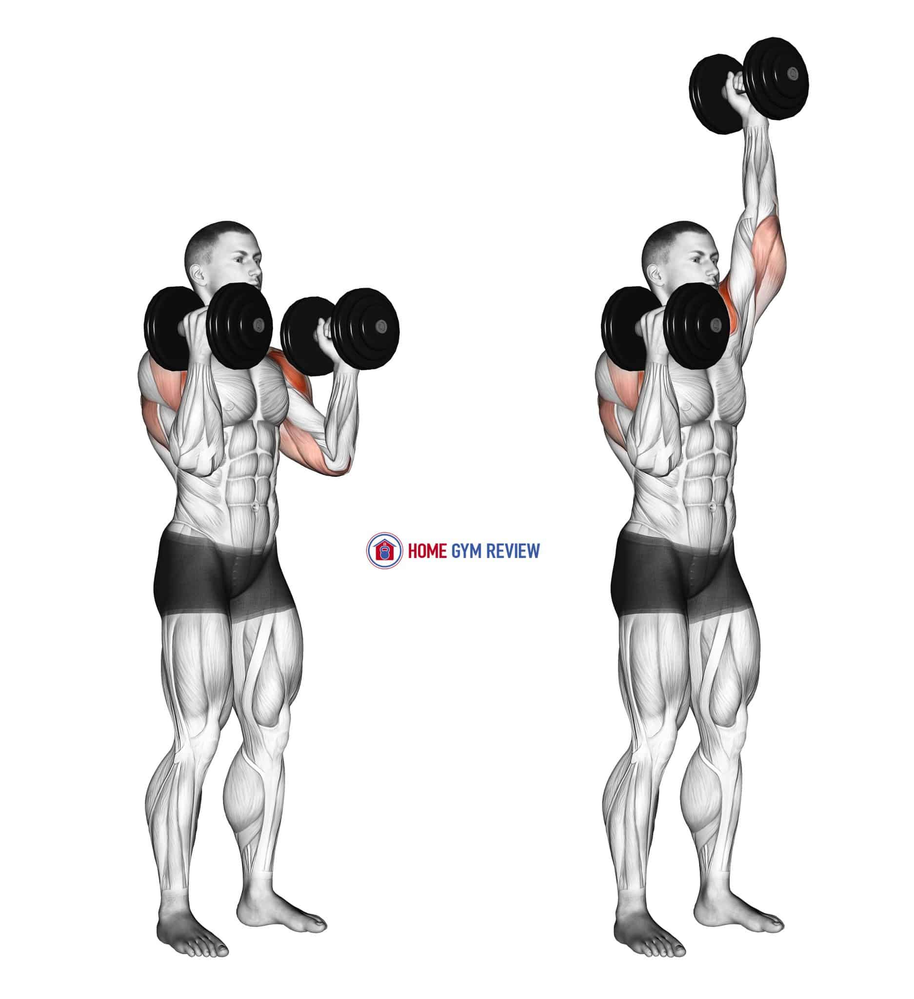 Dumbbell Standing Alternate Overhead Press - Home Gym Review