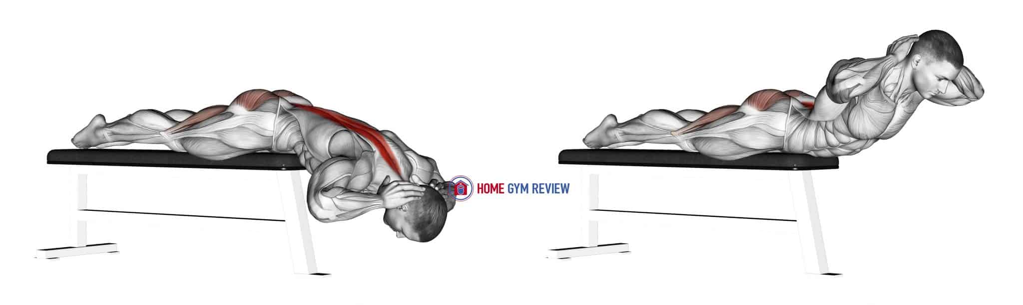 Hyperextension (on bench) - Home Gym Review