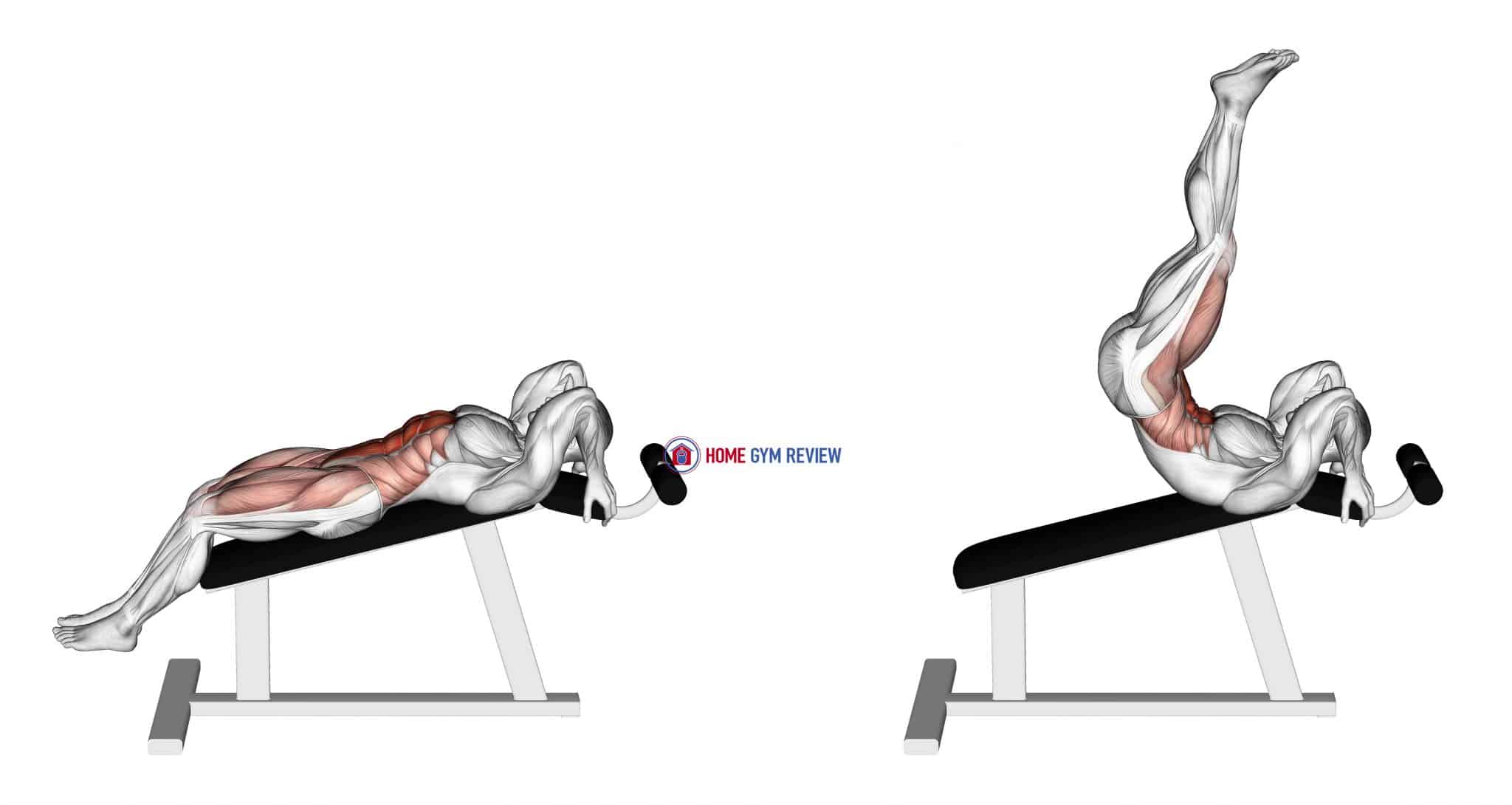 Incline Leg Hip Raise (leg straight) - Home Gym Review