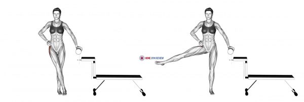 Standing Hip Abduction - Home Gym Review