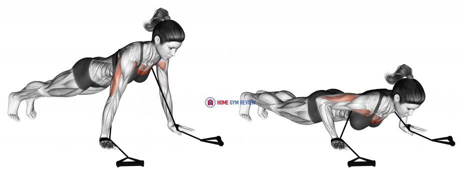 Band push-up - Home Gym Review