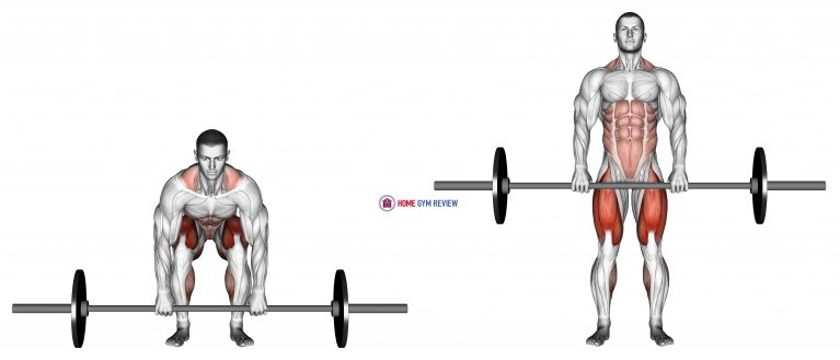 Barbell Deadlift front view - Home Gym Review