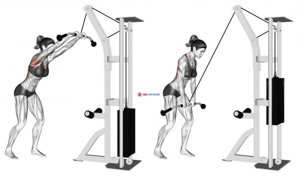 Cable straight arm pulldown (version 2) - Home Gym Review