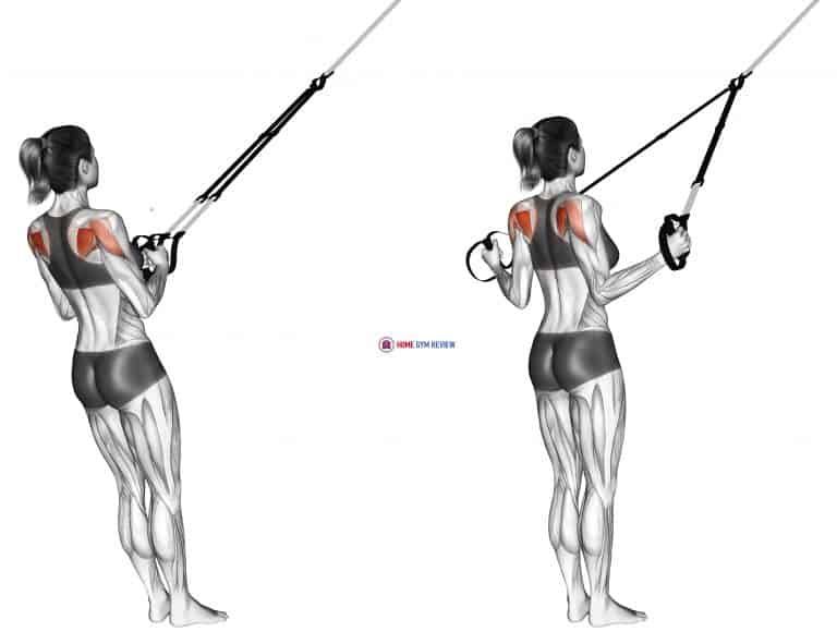 Suspension Shoulder External Rotation - Home Gym Review