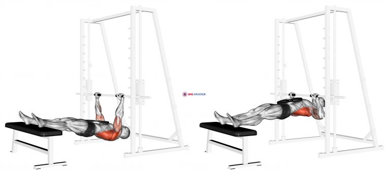 Weighted Inverted Row - Home Gym Review