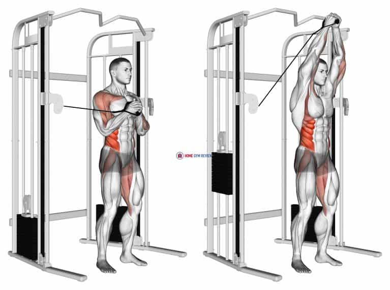 Cable vertical Pallof Press - Home Gym Review