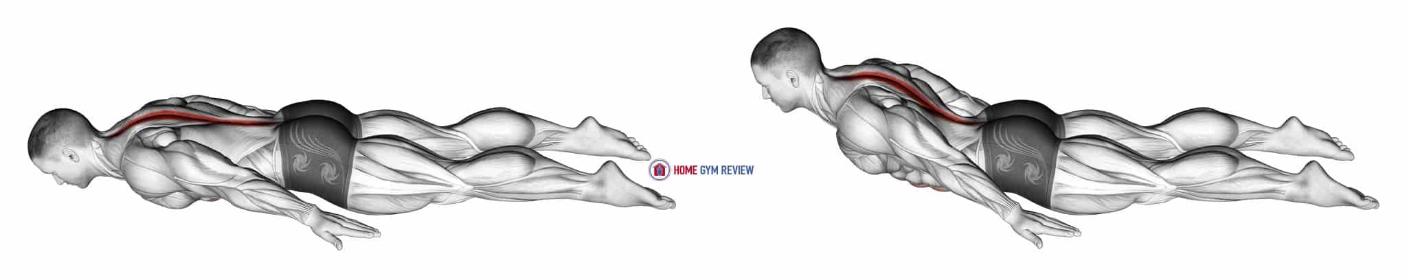 Lower Back Curl - Home Gym Review