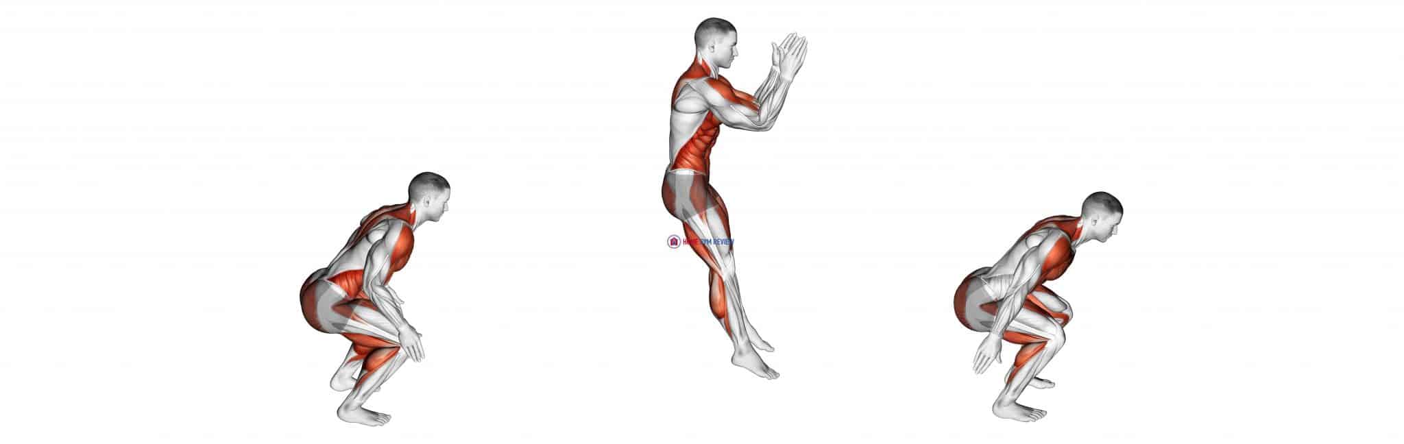 Backward Jump - Home Gym Review