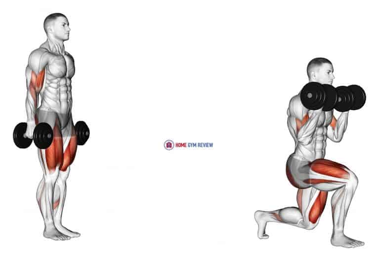 Dumbbell Lunge with Bicep Curl - Home Gym Review