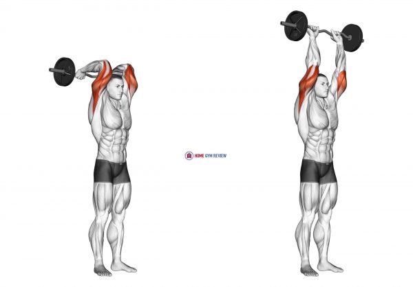 EZ Bar Standing French Press - Home Gym Review