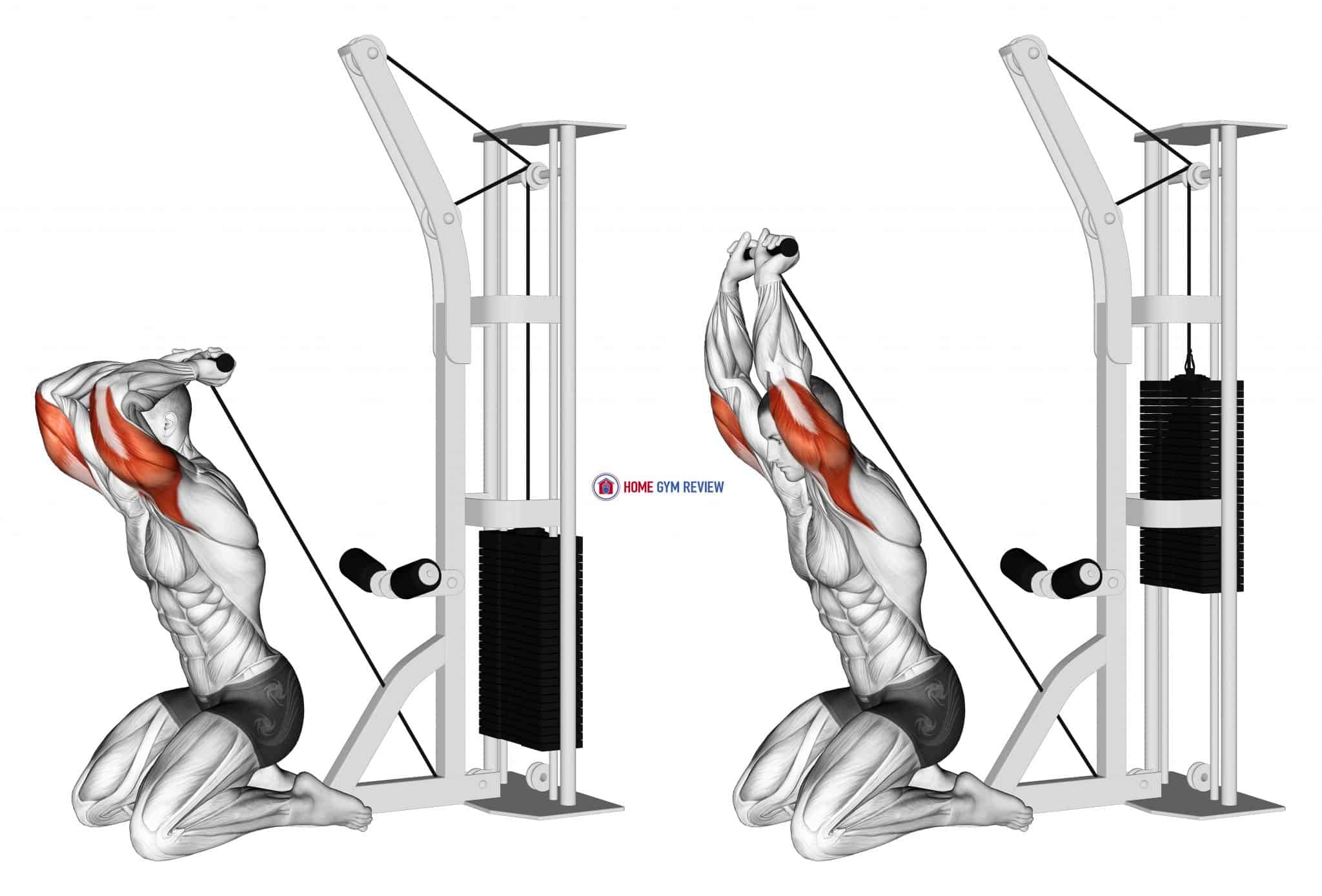 Cable Kneeling Triceps Extension (VERSION 2) - Home Gym Review
