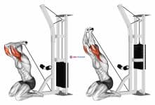 Cable Kneeling Triceps Extension (VERSION 2) - Home Gym Review
