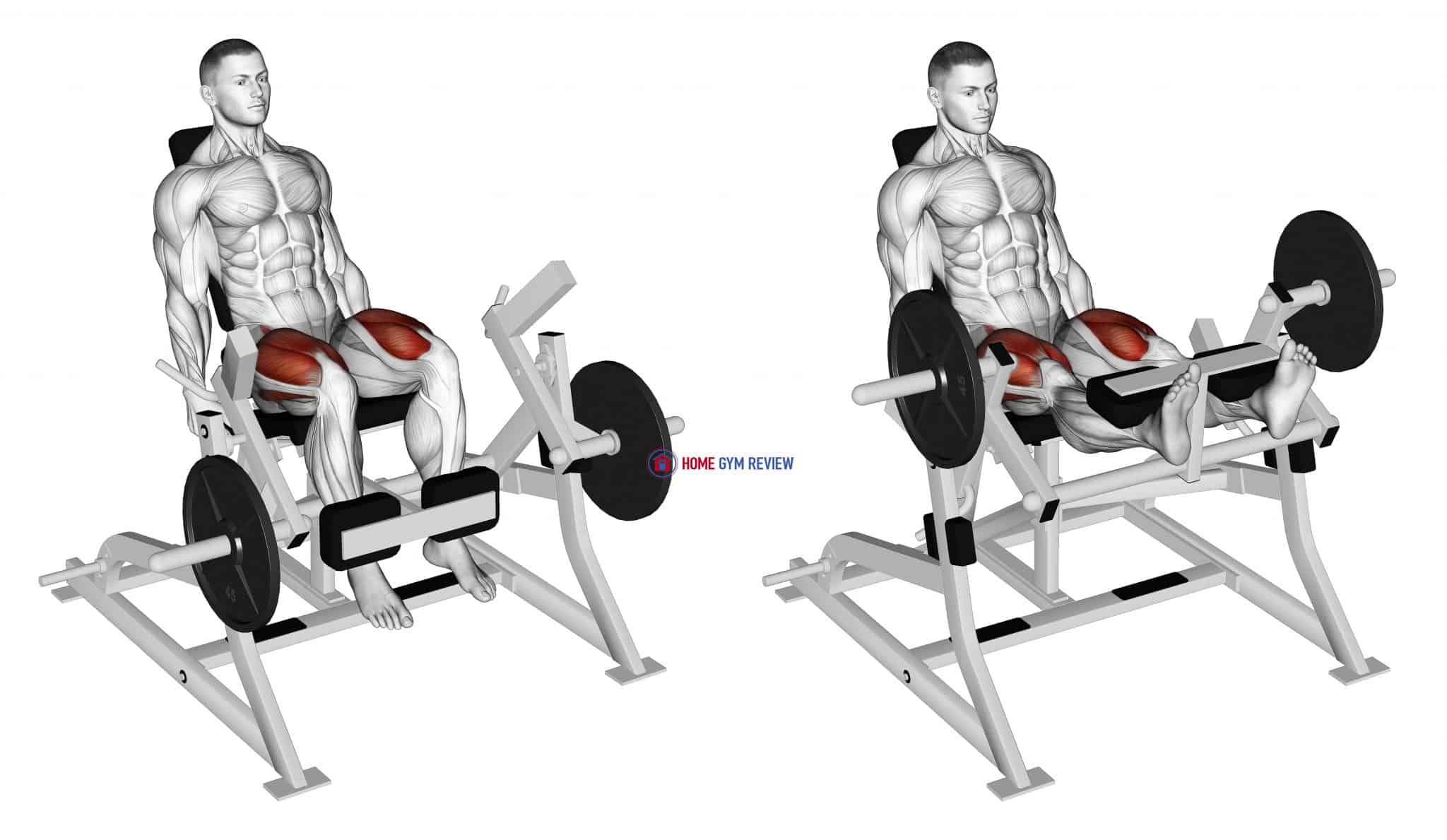 Lever Leg Extension (plate loaded) - Home Gym Review