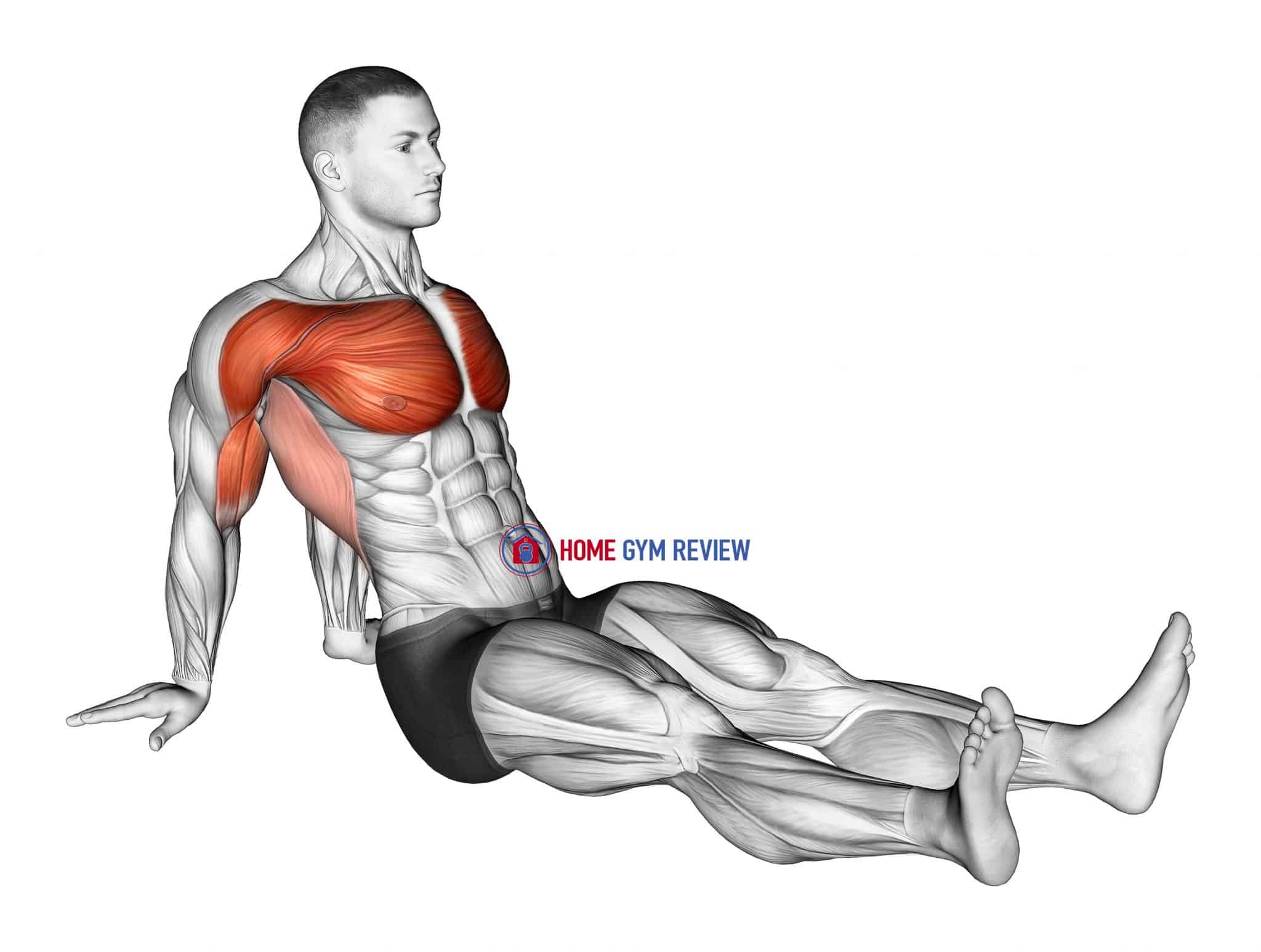 Seated Shoulder Flexor Depresor Retractor Stretch - Home Gym Review