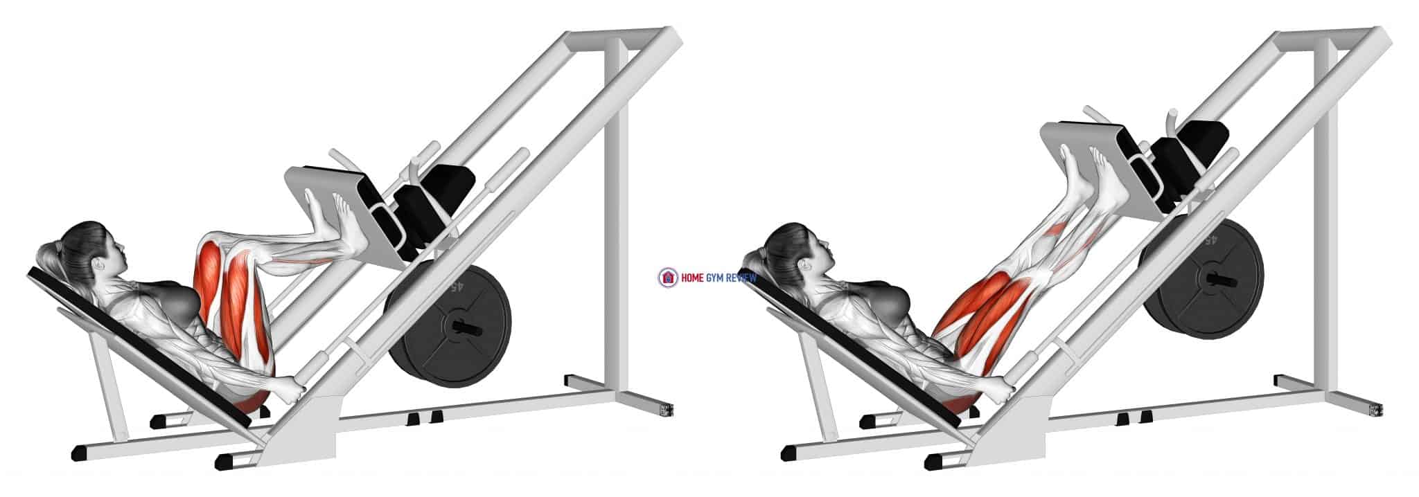 Sled 45 degrees Leg Press (female) - Home Gym Review