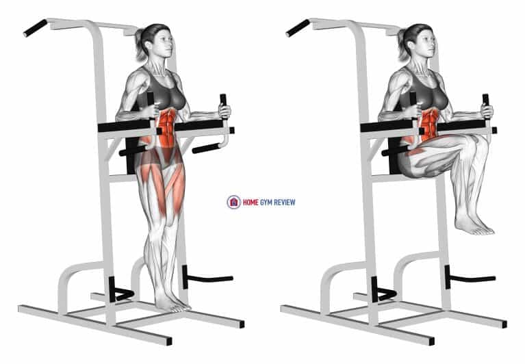 Vertical Leg Raise (on parallel bars) (female) (VERSION 2) - Home Gym ...