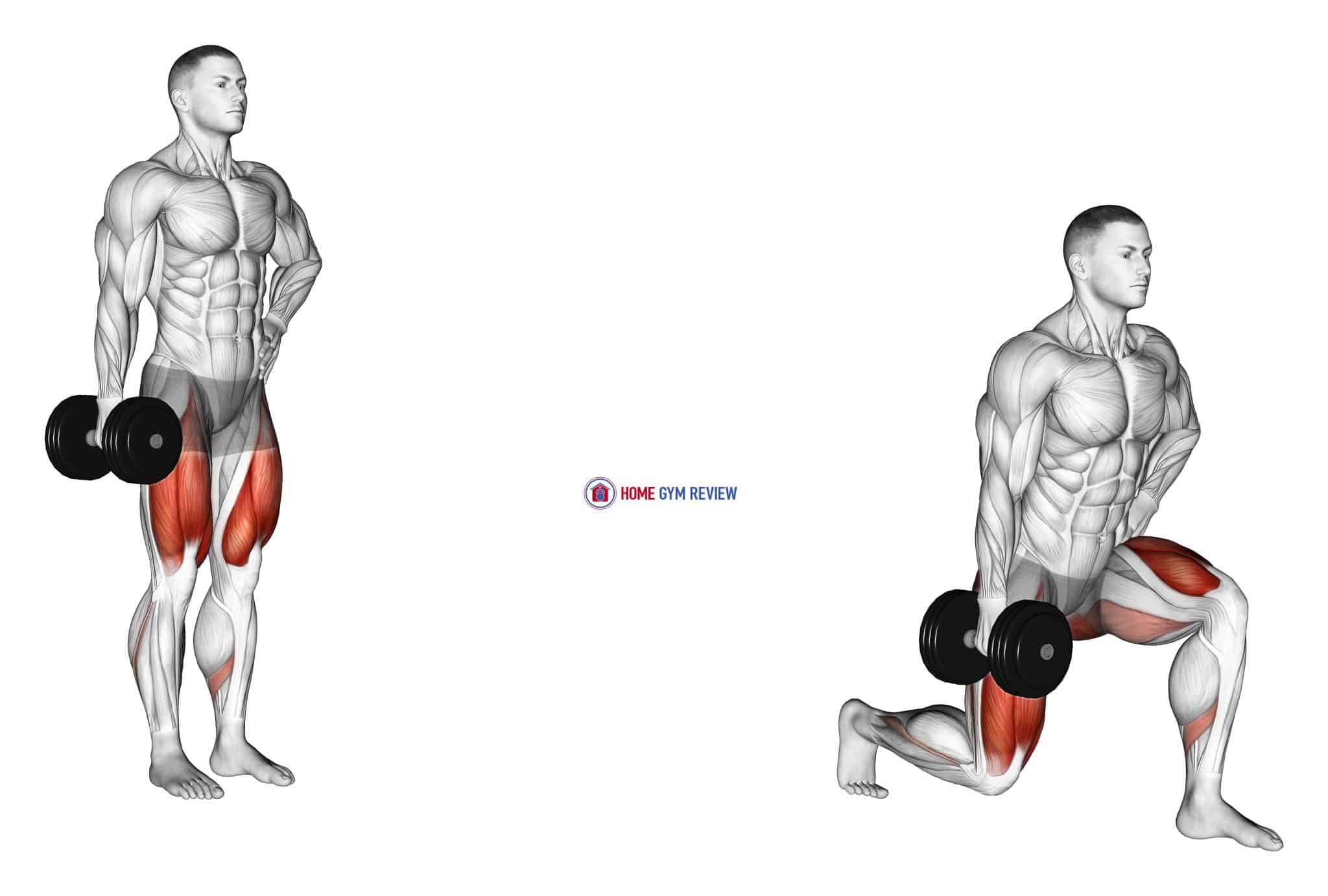 Dumbbell Contralateral Forward Lunge - Home Gym Review