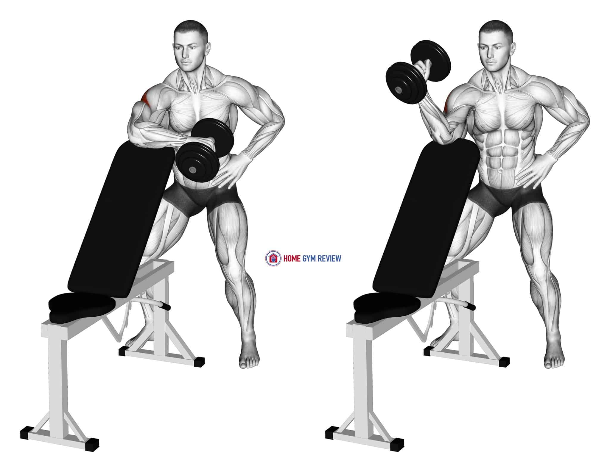 Dumbbell Bench Supported External Rotation - Home Gym Review