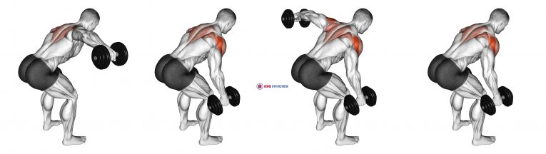 Dumbbell Bent Over Alternate Rear Delt Fly - Home Gym Review
