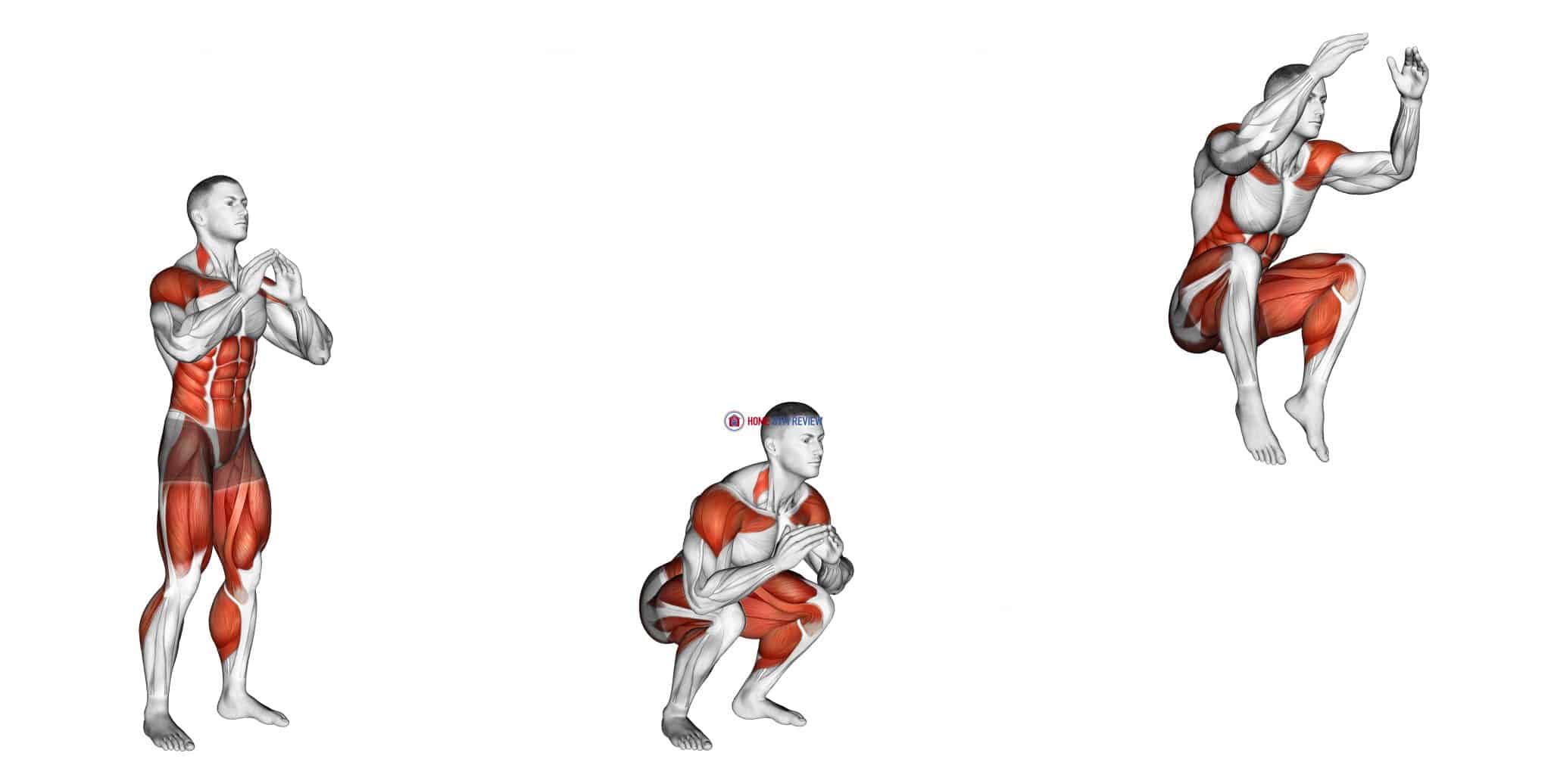 Posterior Step to Overhead Reach - Home Gym Review