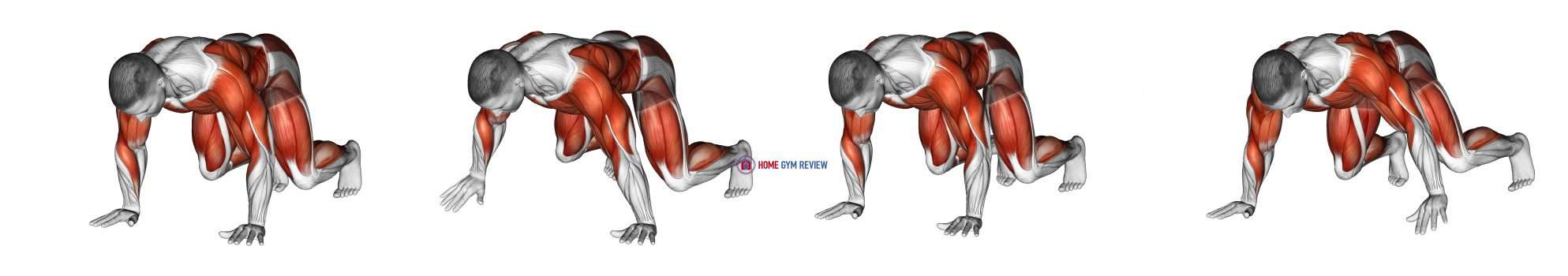 Side Bear Crawl - Home Gym Review